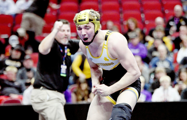 Nelson-Brown in finals | News, Sports, Jobs - Messenger News